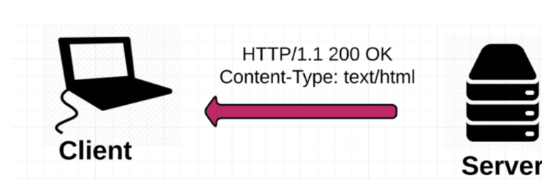 Understanding The Web A Beginner S Guide To How It All Works Decoding Data Science